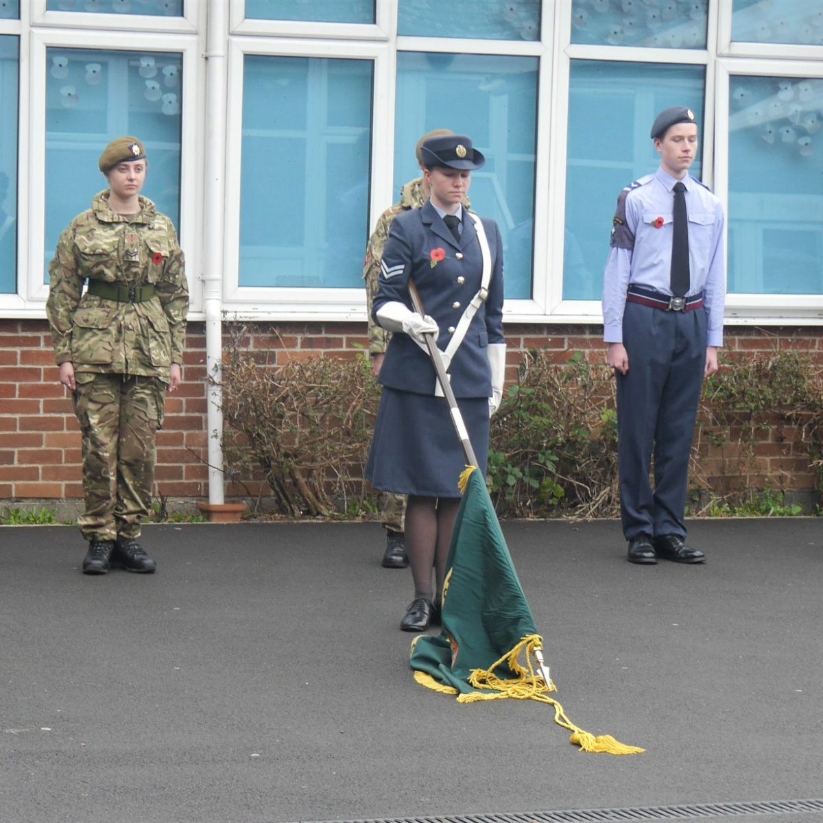 Hele's School - Parent/Carer Update 11/11/22